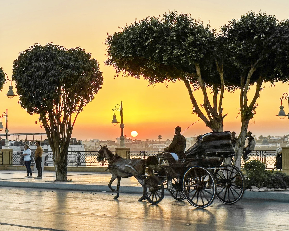 Richard Lingo | The Independent Photographer