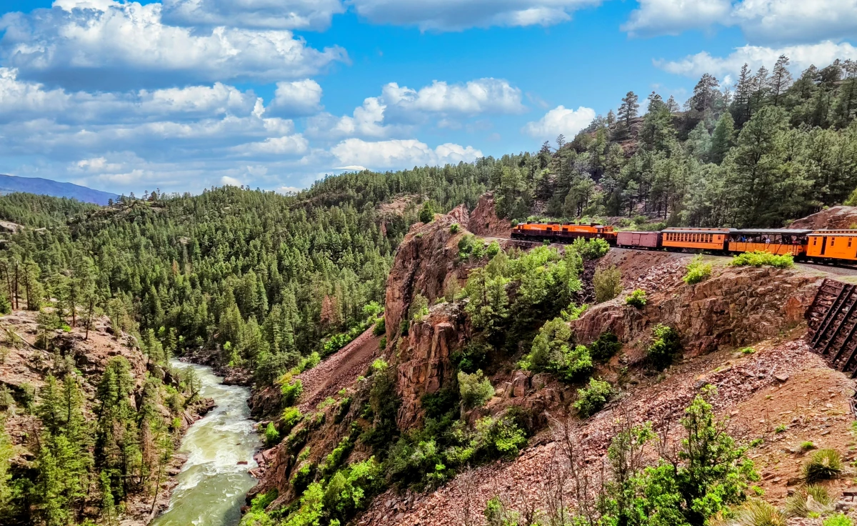 Ammar Saify | The Independent Photographer