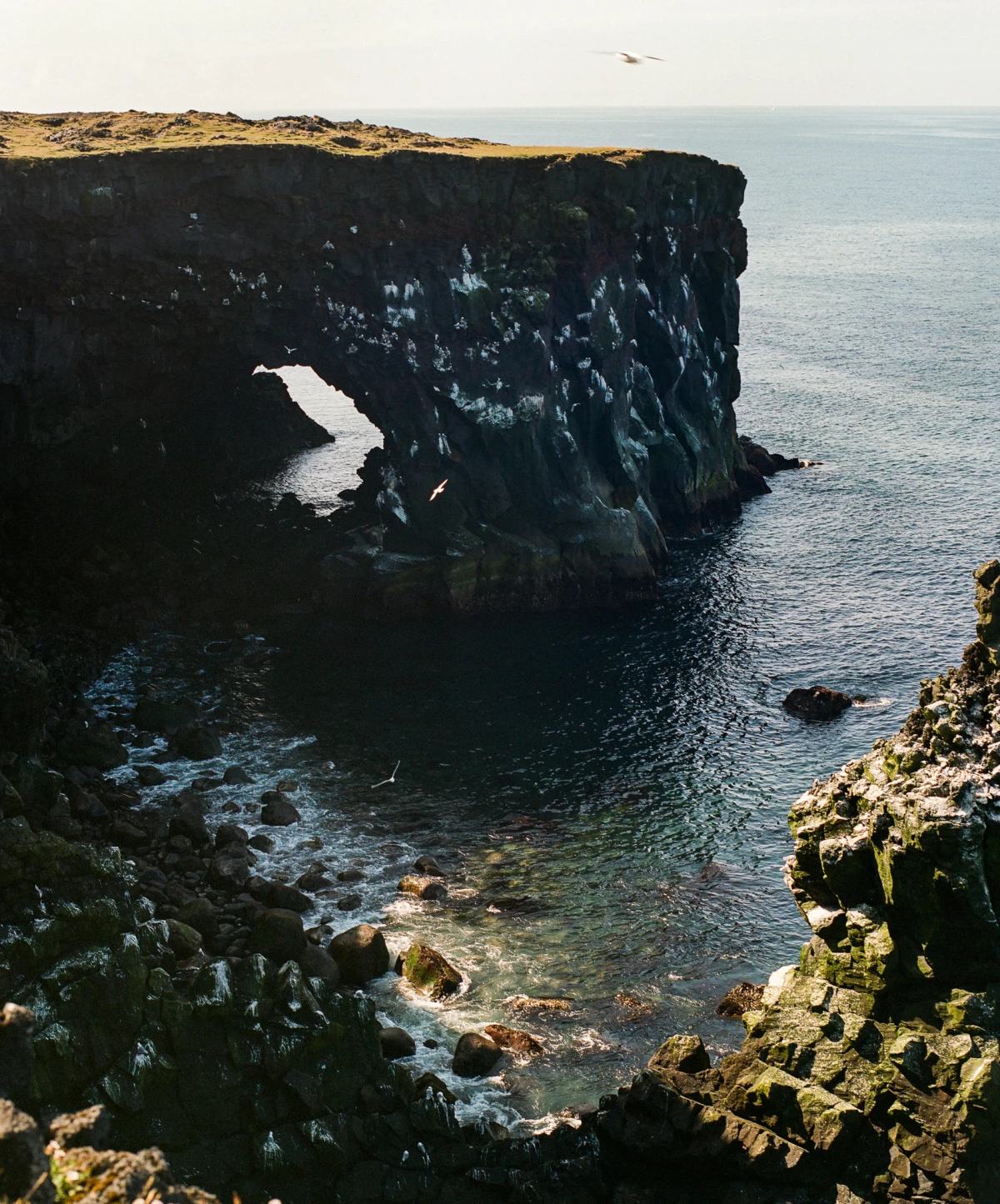 Patrick Fitzsimmons | The Independent Photographer