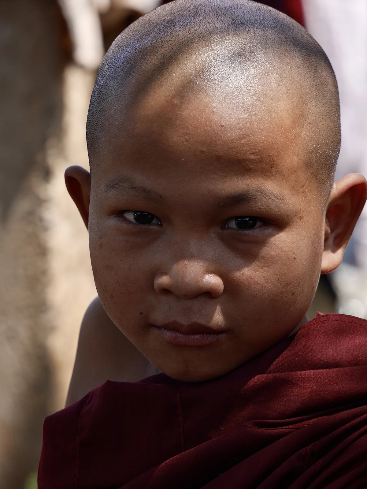 Ladka Kurzrock | The Independent Photographer