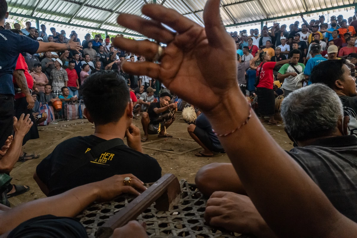 Roger Chen | The Independent Photographer