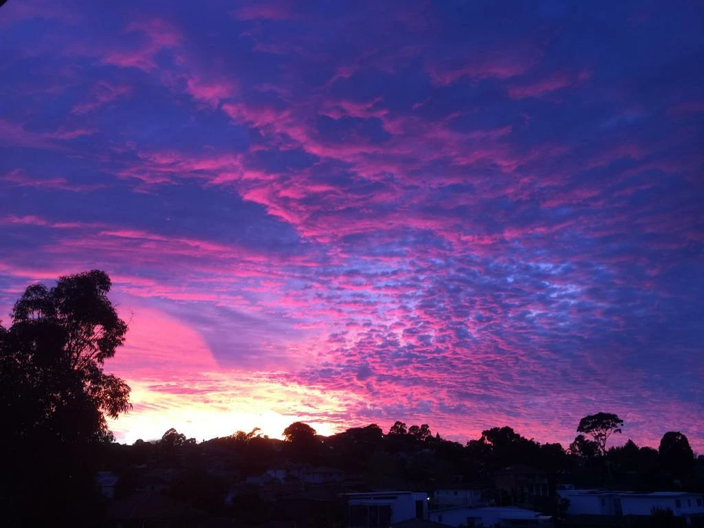 Mohammad Saeed | The Independent Photographer