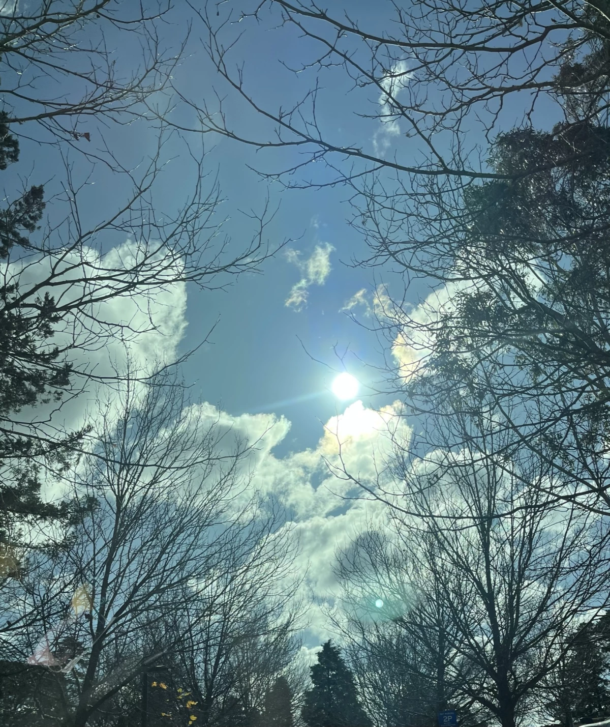 Mohammad Saeed | The Independent Photographer