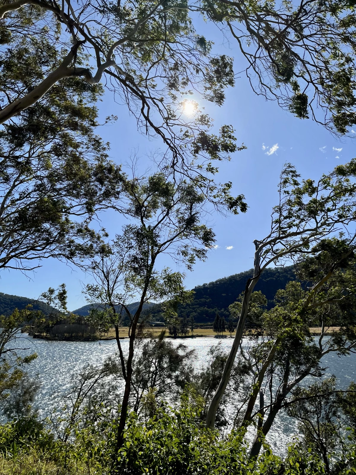 Mohammad Saeed | The Independent Photographer