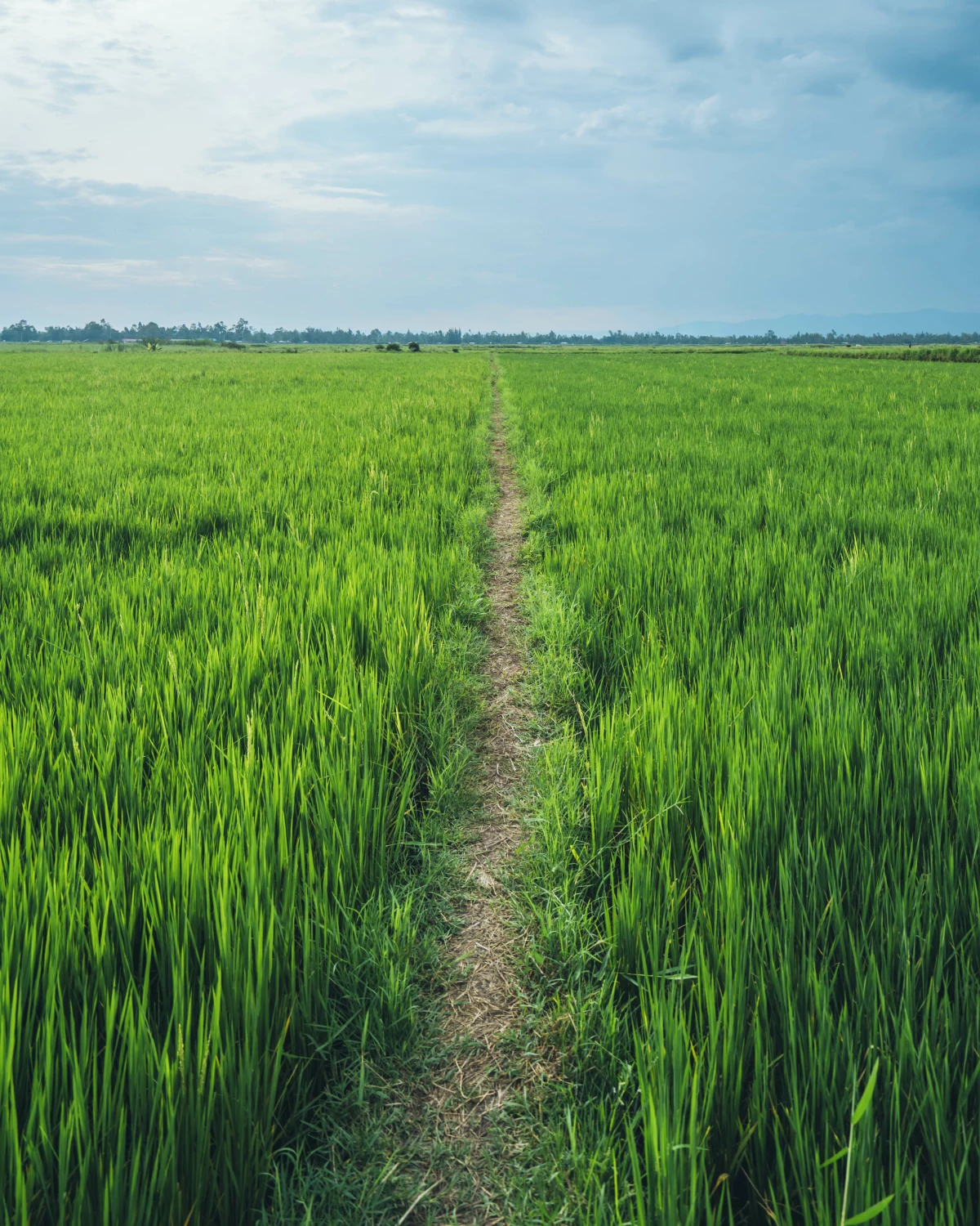 Tony Machani | The Independent Photographer