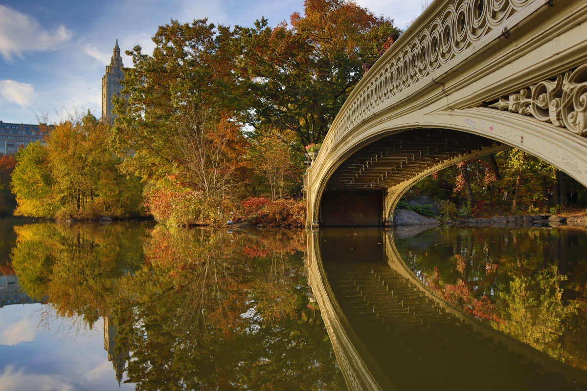 Yu-Hsin Chen | The Independent Photographer