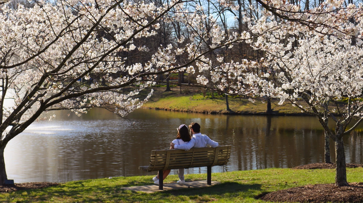 Yu-Hsin Chen | The Independent Photographer