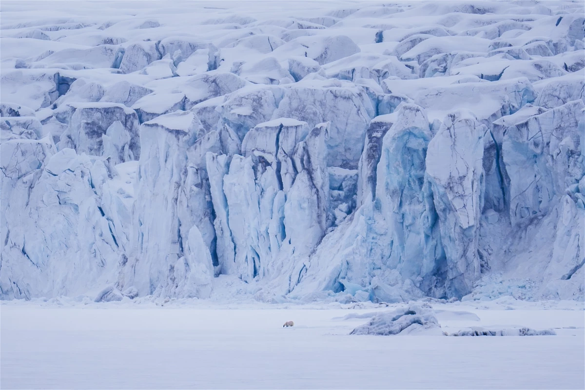 Ben Dale | The Independent Photographer