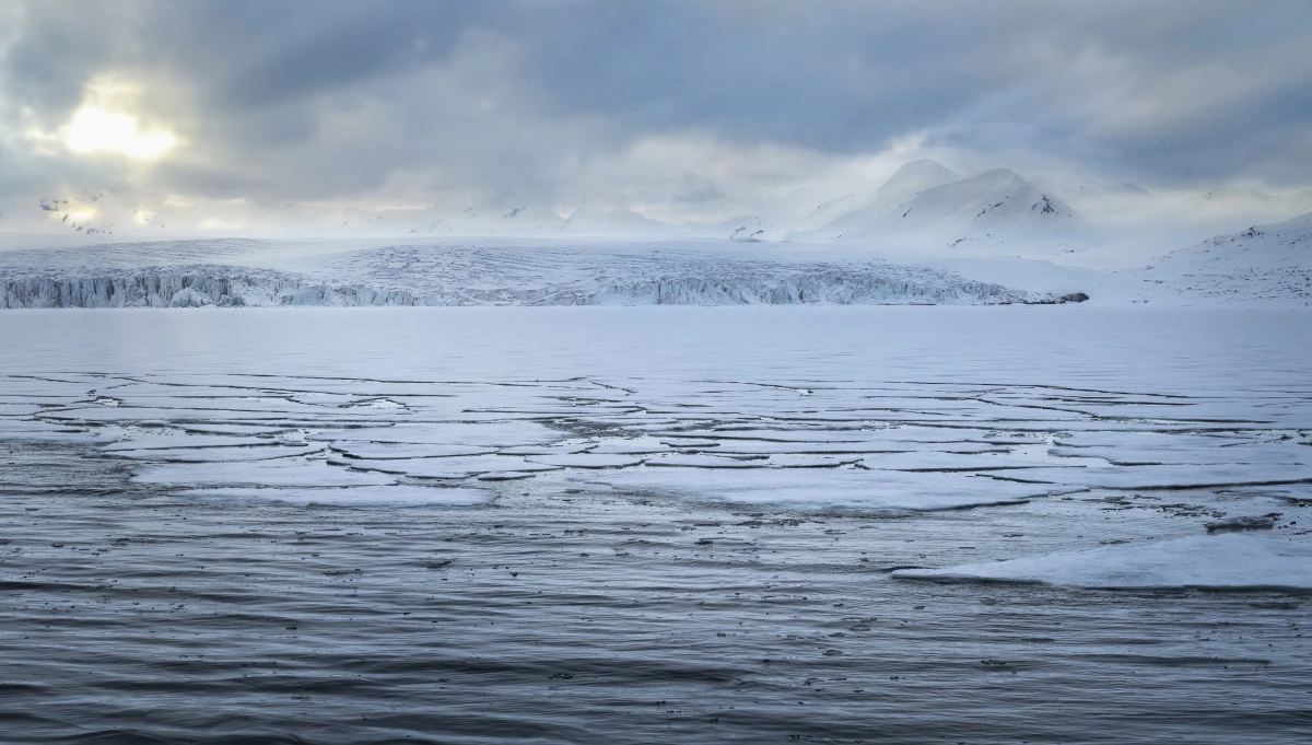 Ben Dale | The Independent Photographer