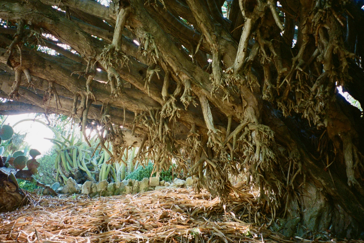 Lili Jackson | The Independent Photographer