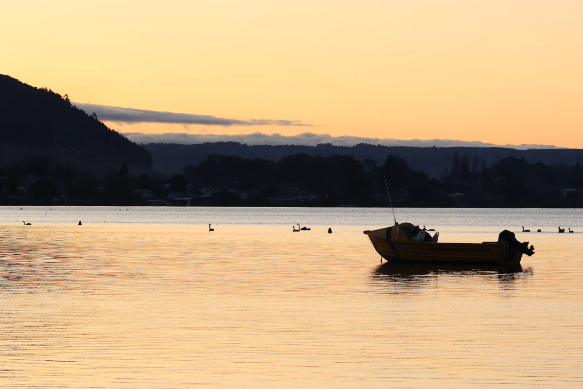 Nia Thompson | The Independent Photographer