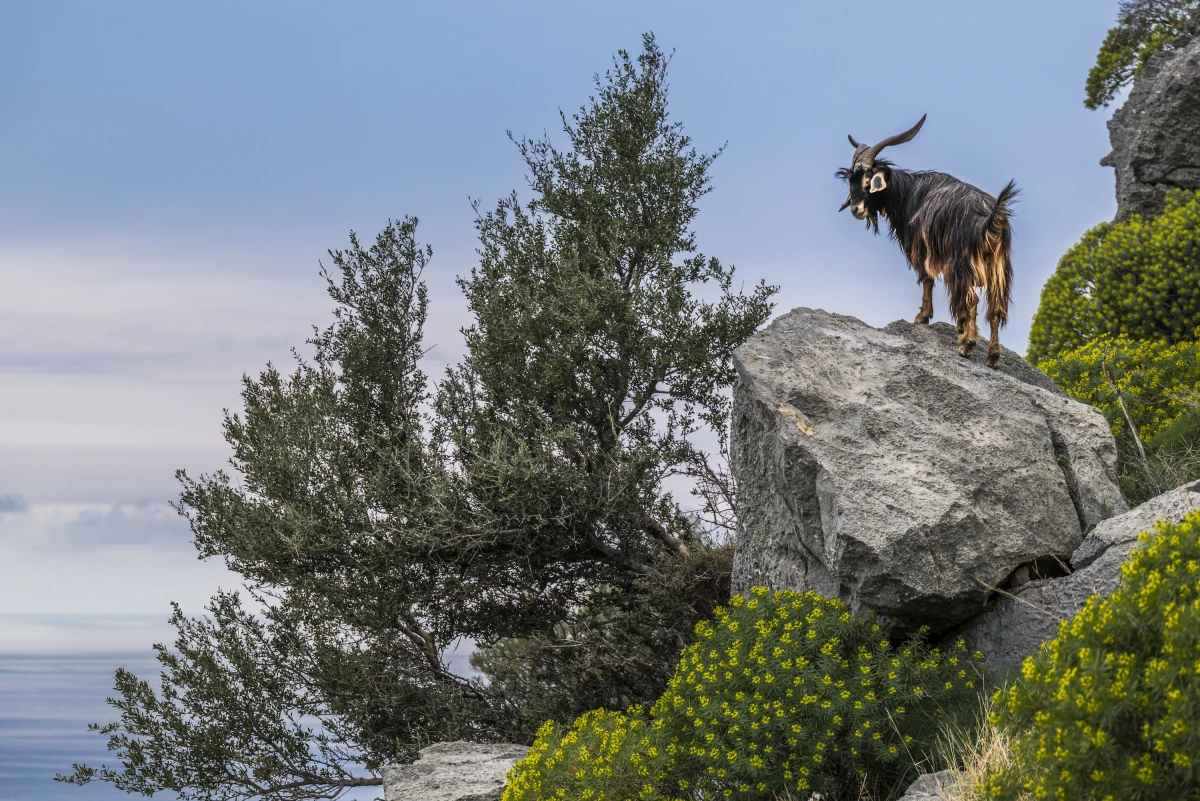 Thomas Halfmann | The Independent Photographer