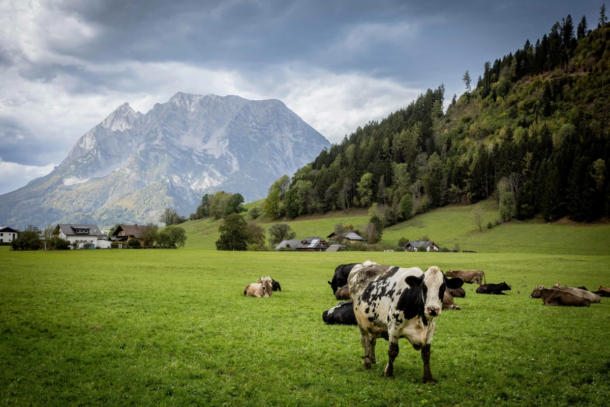 Michael Dunker | The Independent Photographer