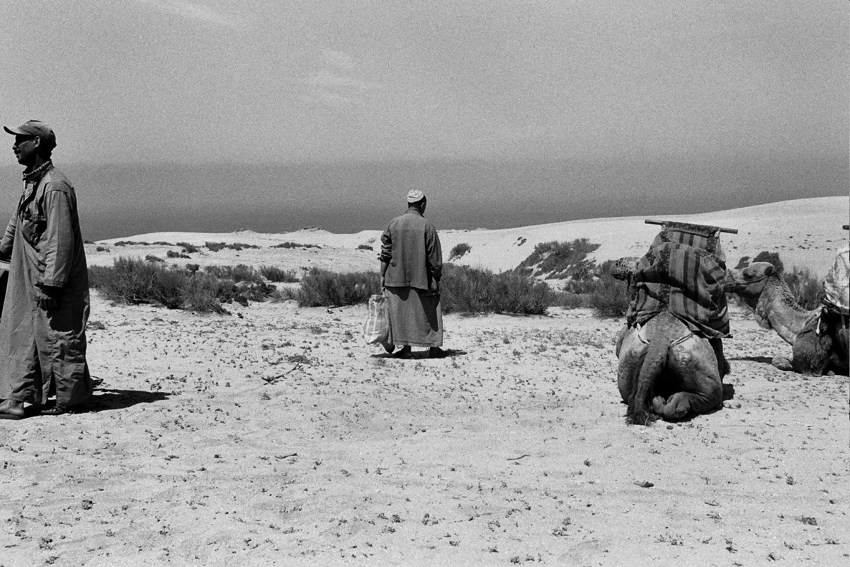 Arune Daukantaite | The Independent Photographer