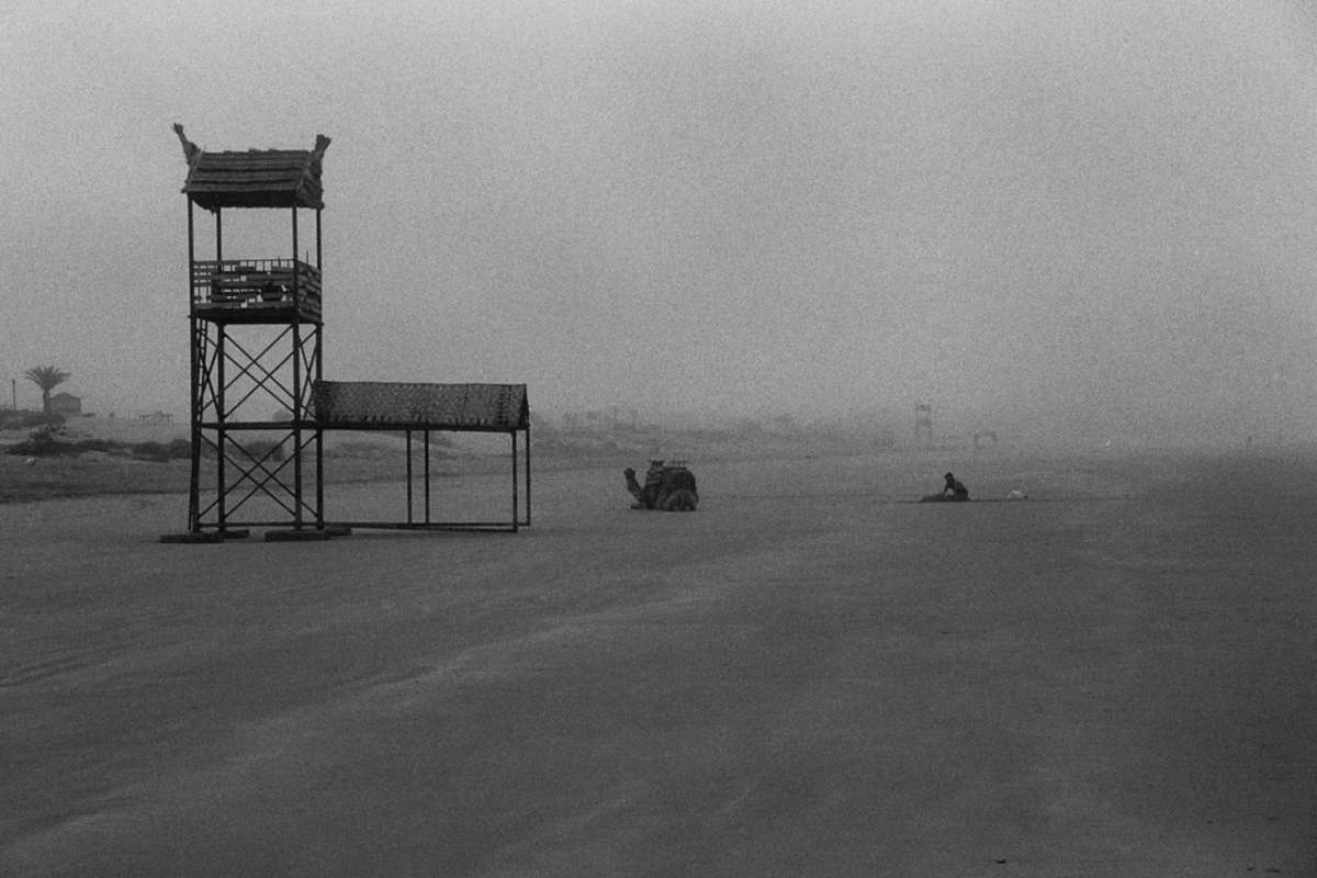 Arune Daukantaite | The Independent Photographer