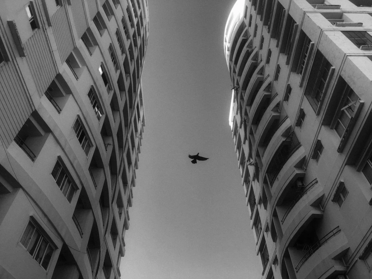 Thant Zin | The Independent Photographer