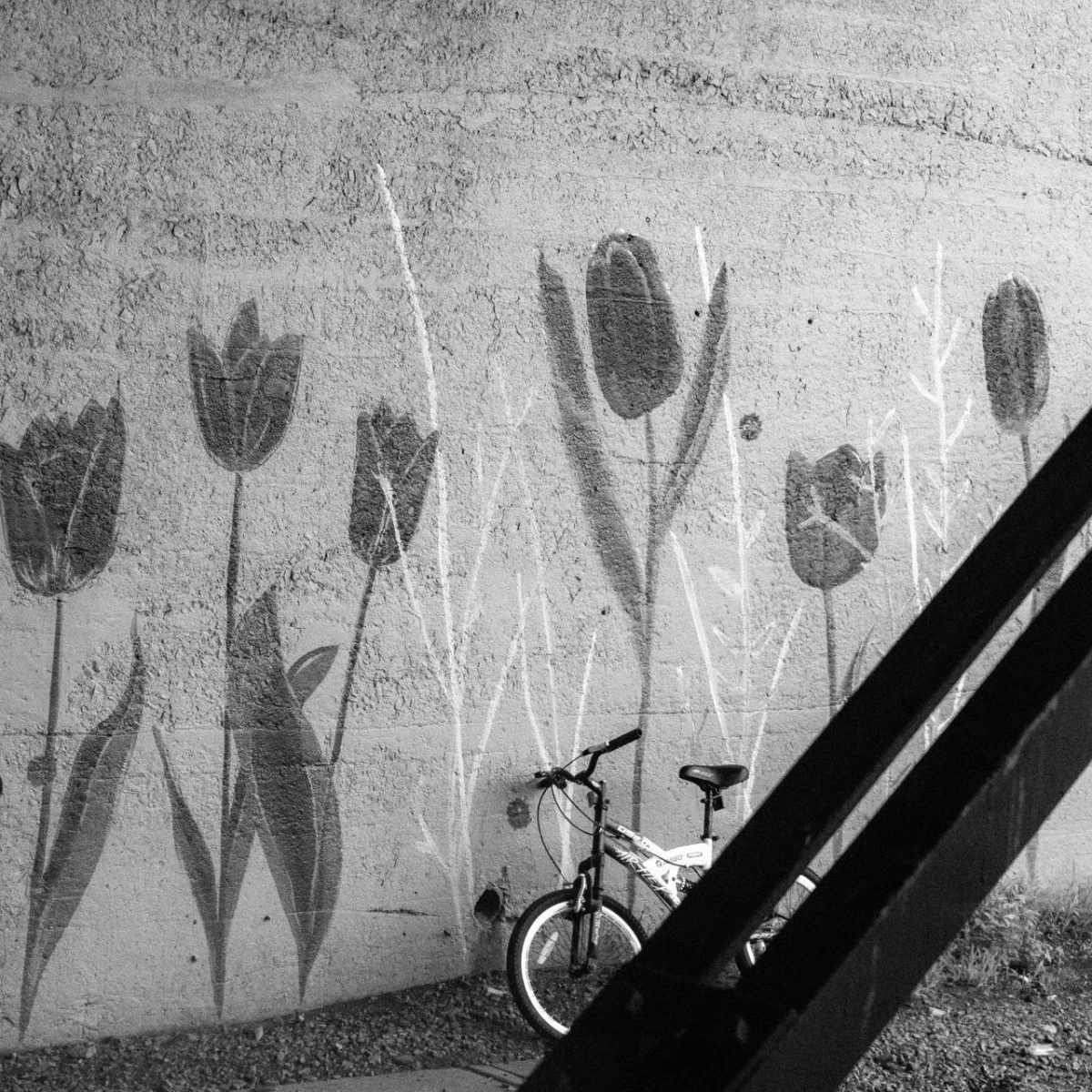 Thant Zin | The Independent Photographer