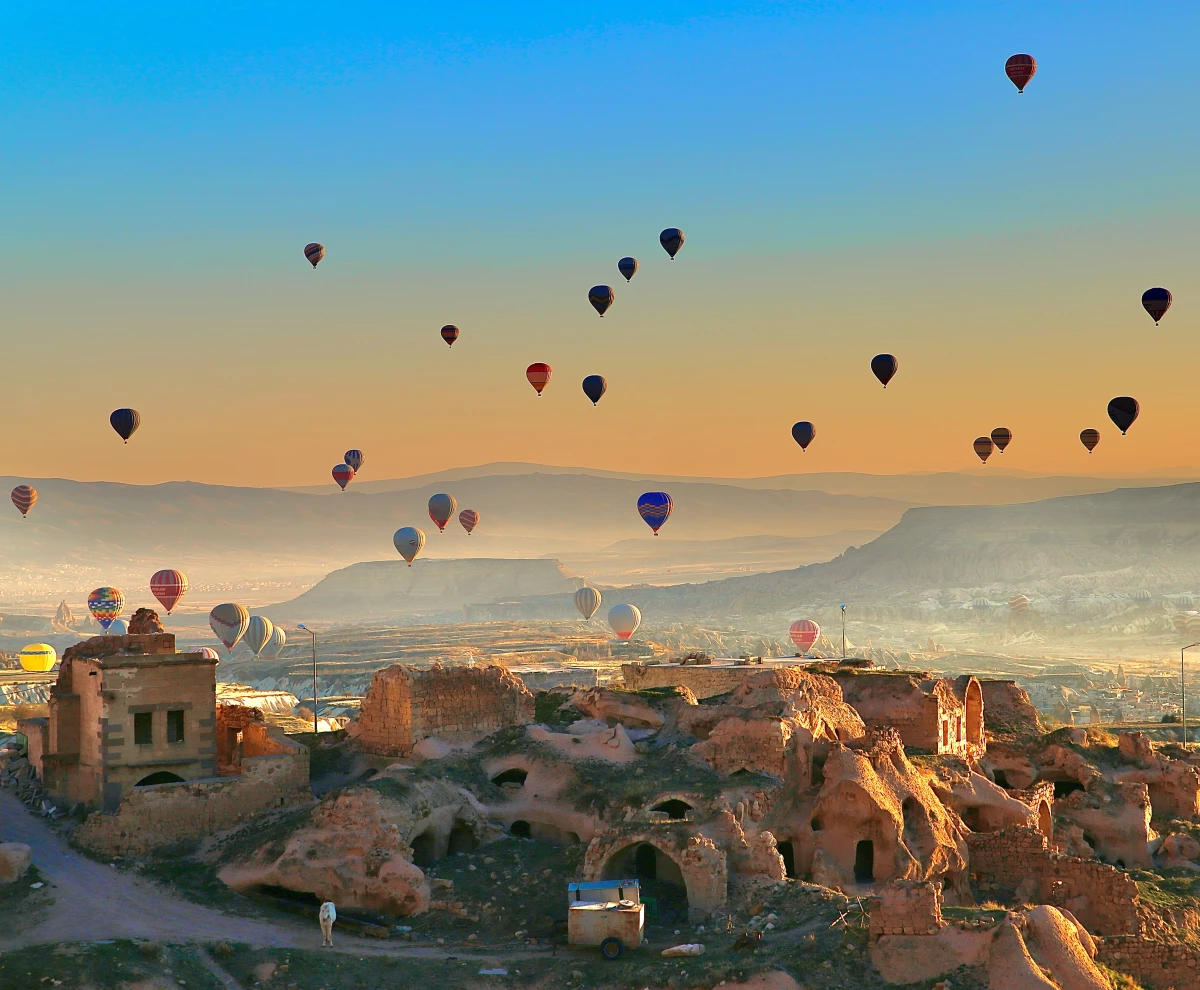 Tyler Bensinger | The Independent Photographer