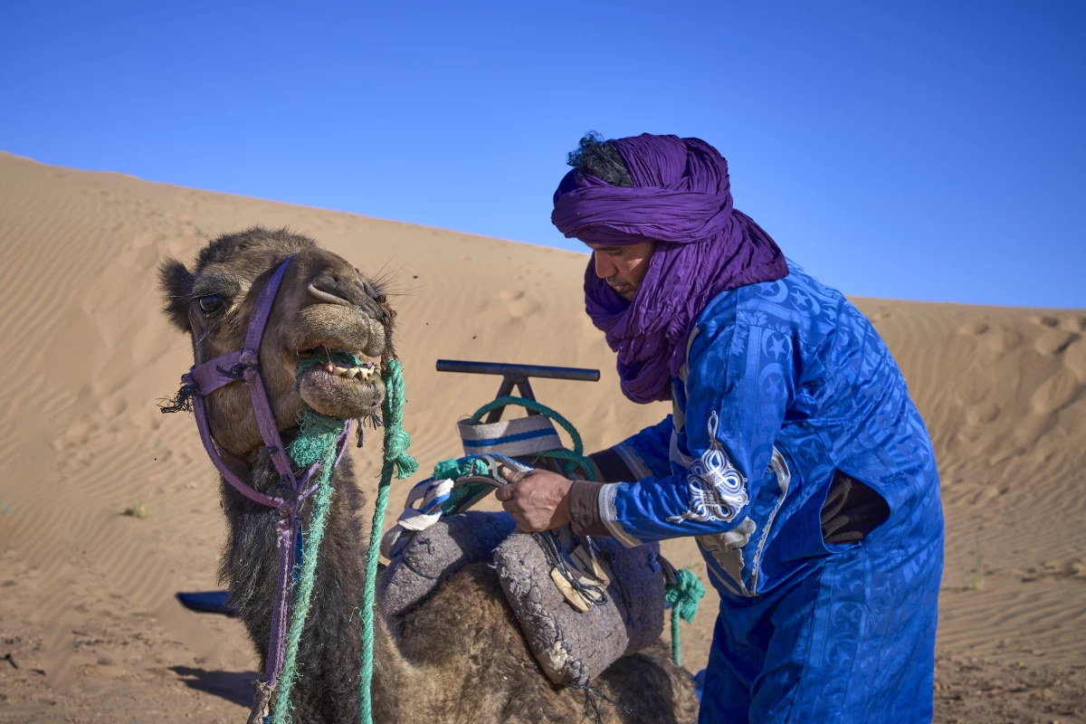 Richard Hammer | The Independent Photographer