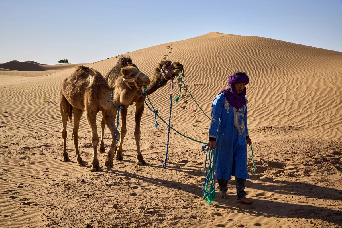 Richard Hammer | The Independent Photographer