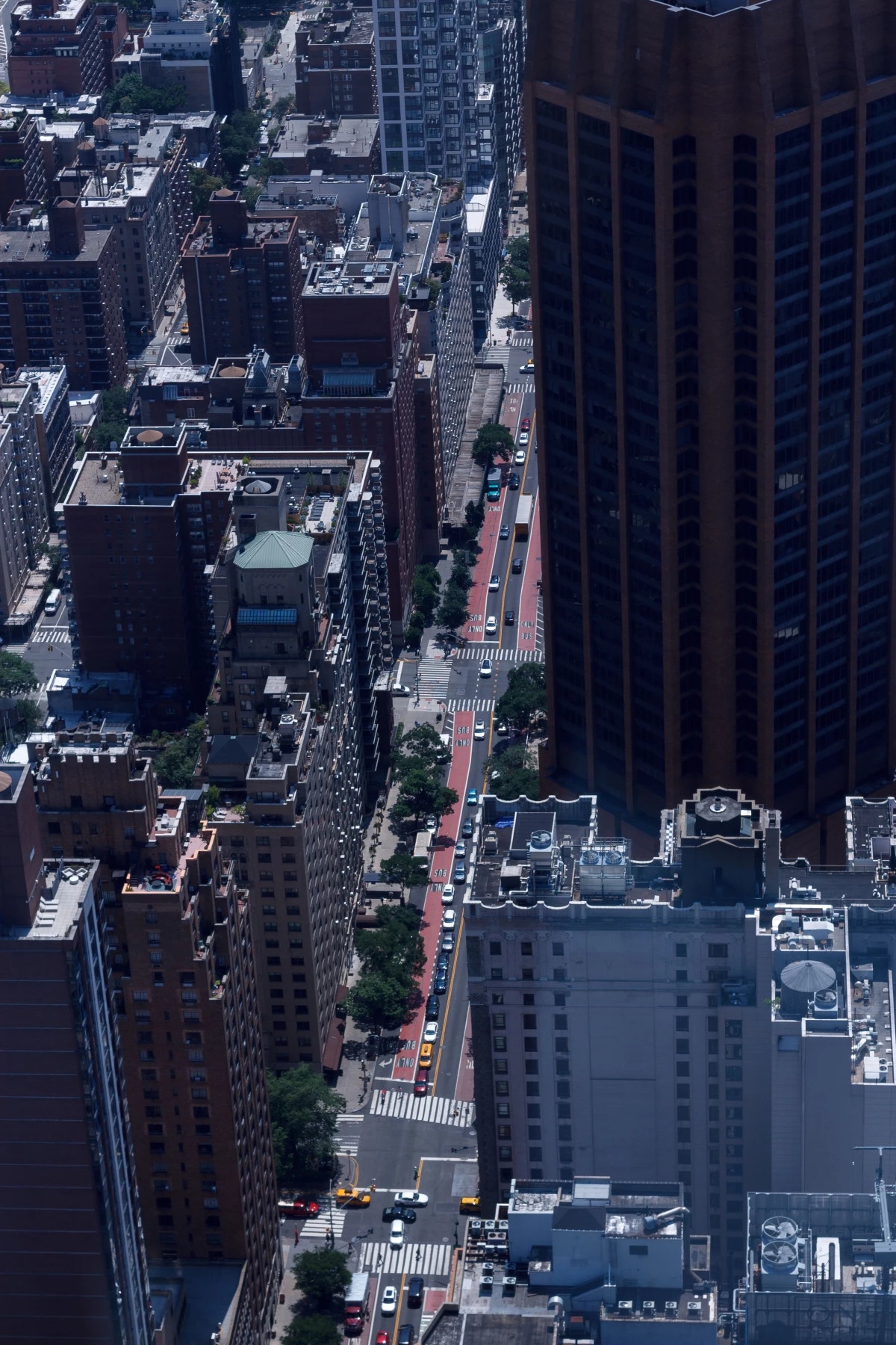 Précilia Labiod | The Independent Photographer