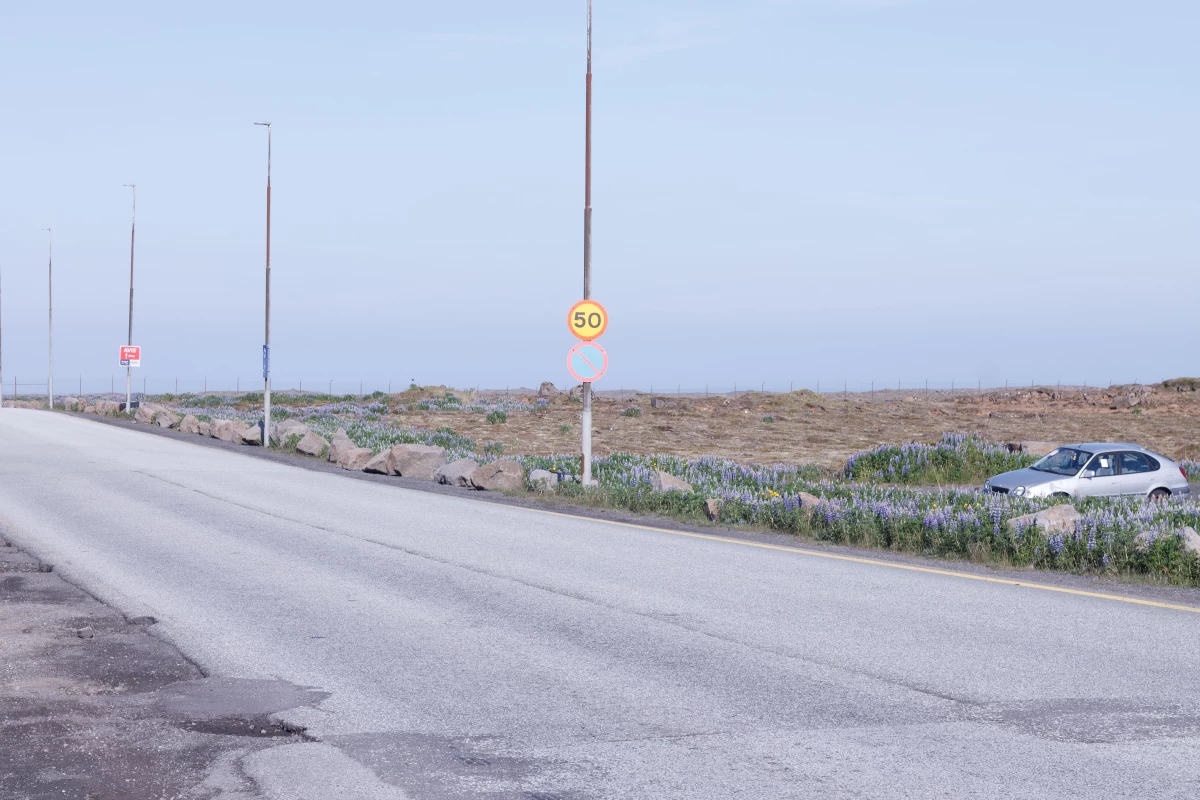 Précilia labiod | The Independent Photographer