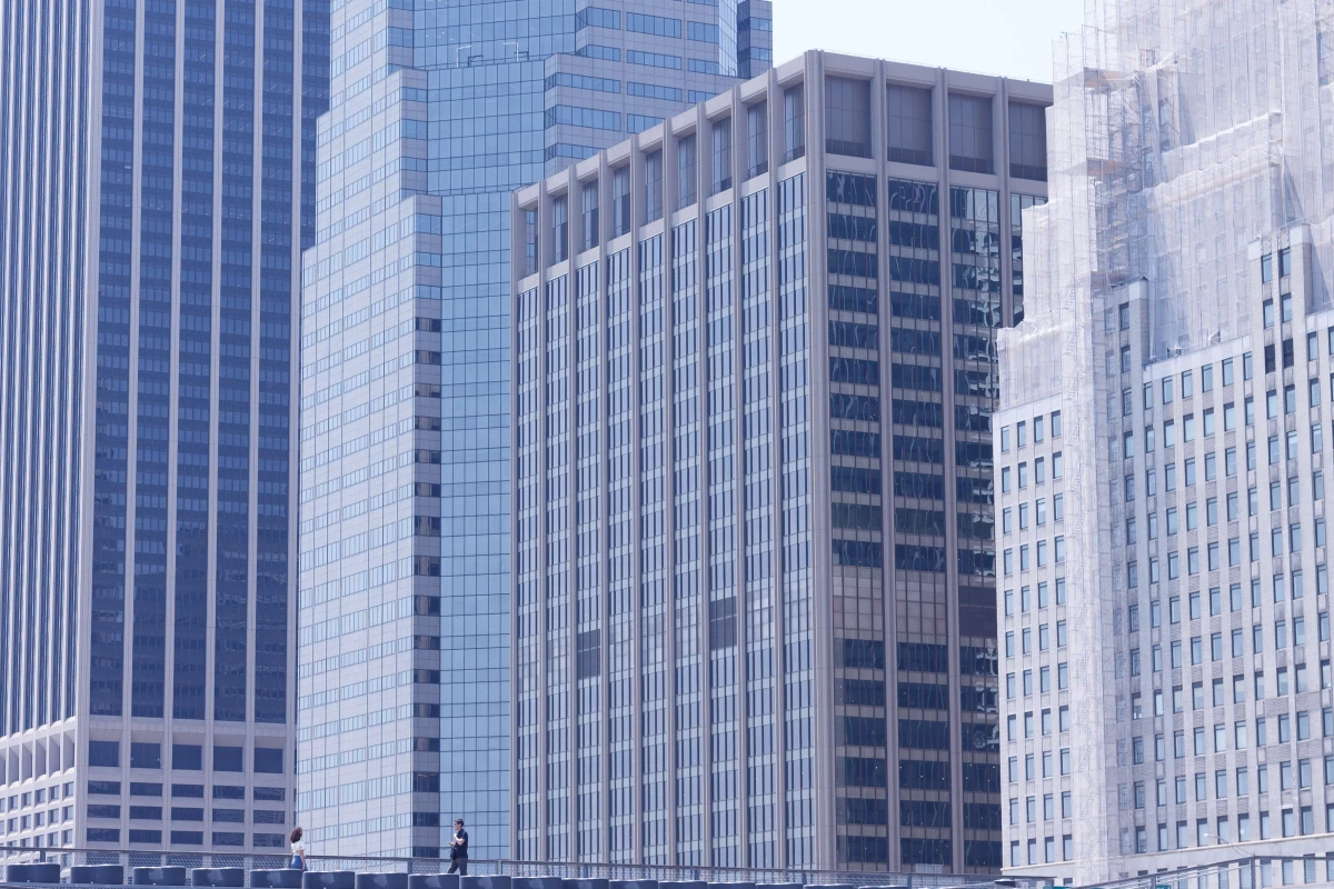 Précilia labiod | The Independent Photographer