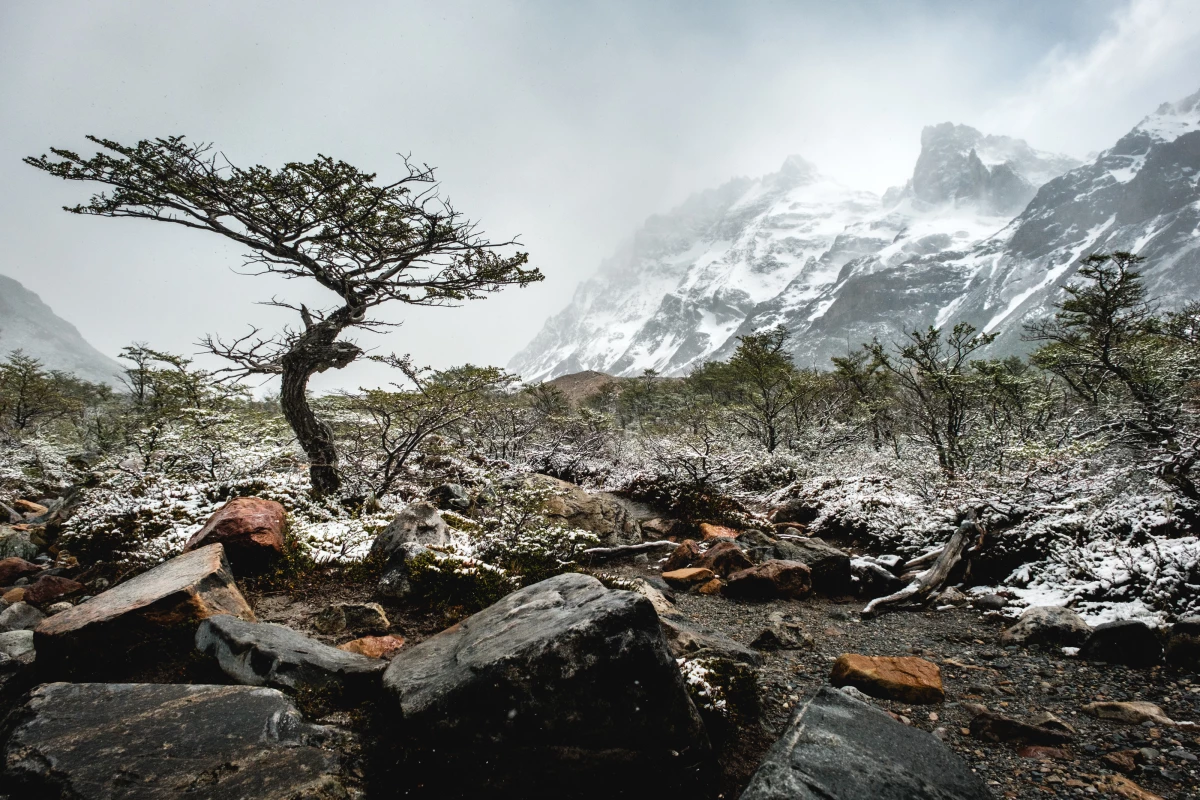 Nicolas Castermans | The Independent Photographer