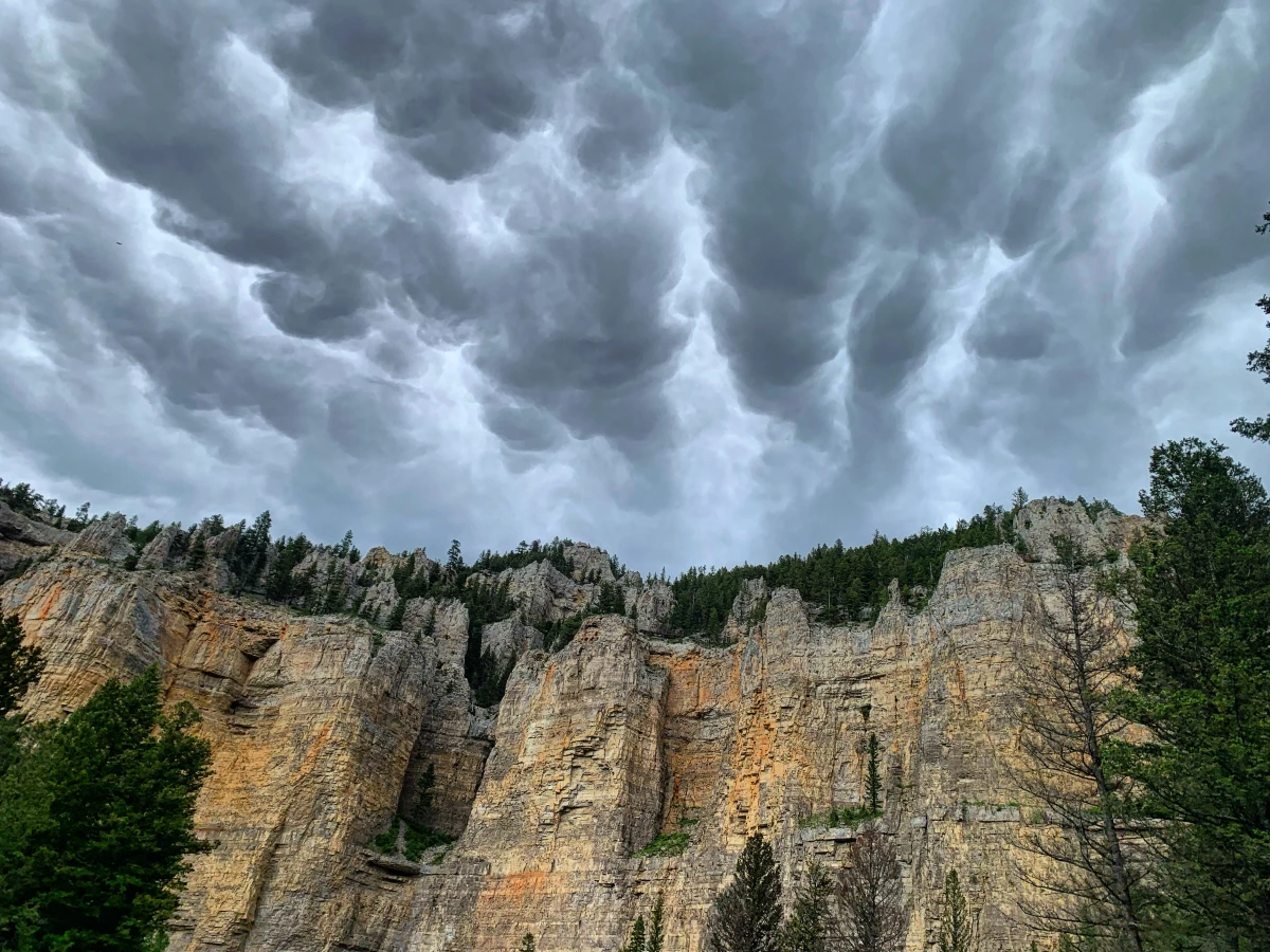 Brenna Rietmann | The Independent Photographer