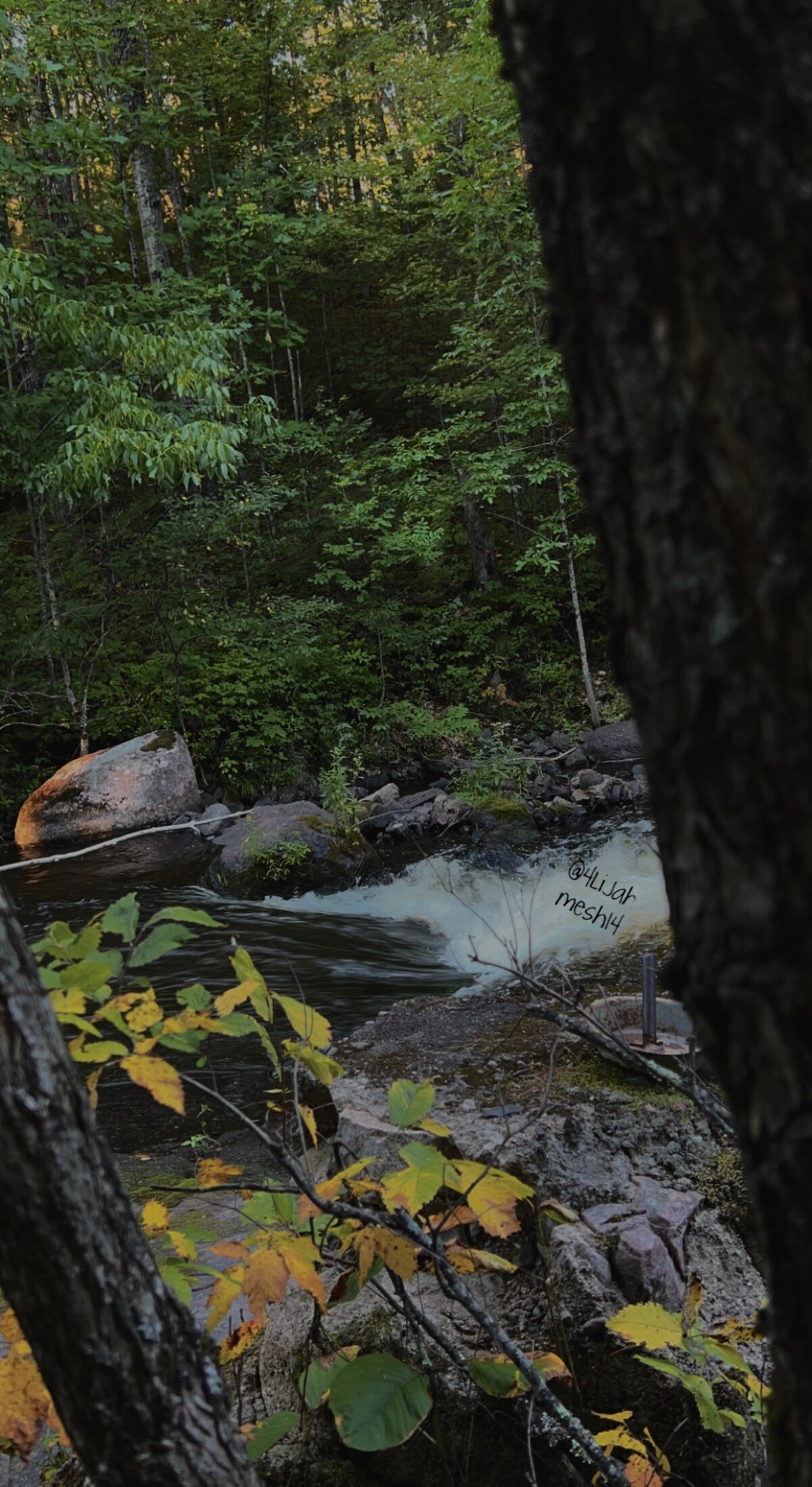 Elijah Meshigaud | The Independent Photographer