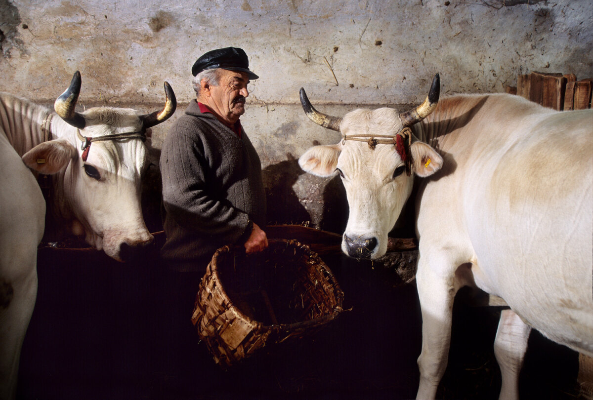 susan lapides | The Independent Photographer