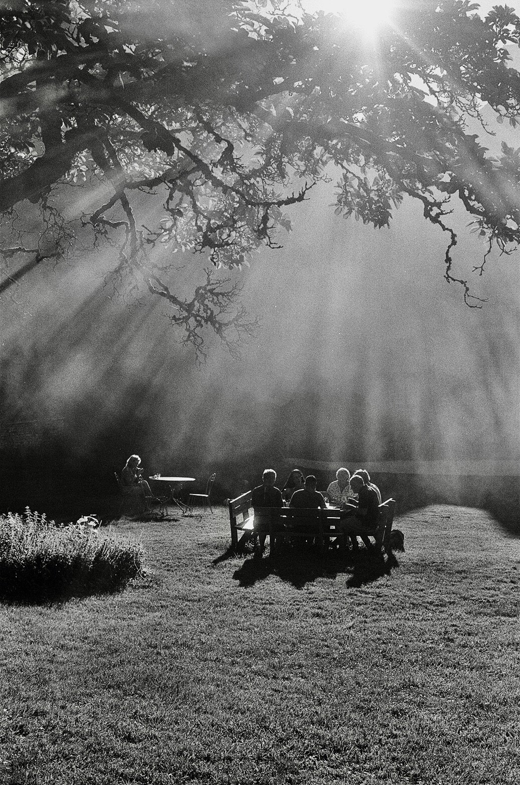 Sarah Strand | The Independent Photographer