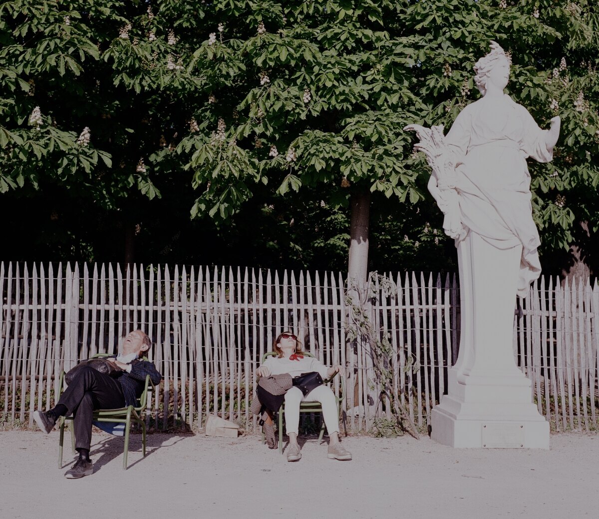 Sarah Strand | The Independent Photographer