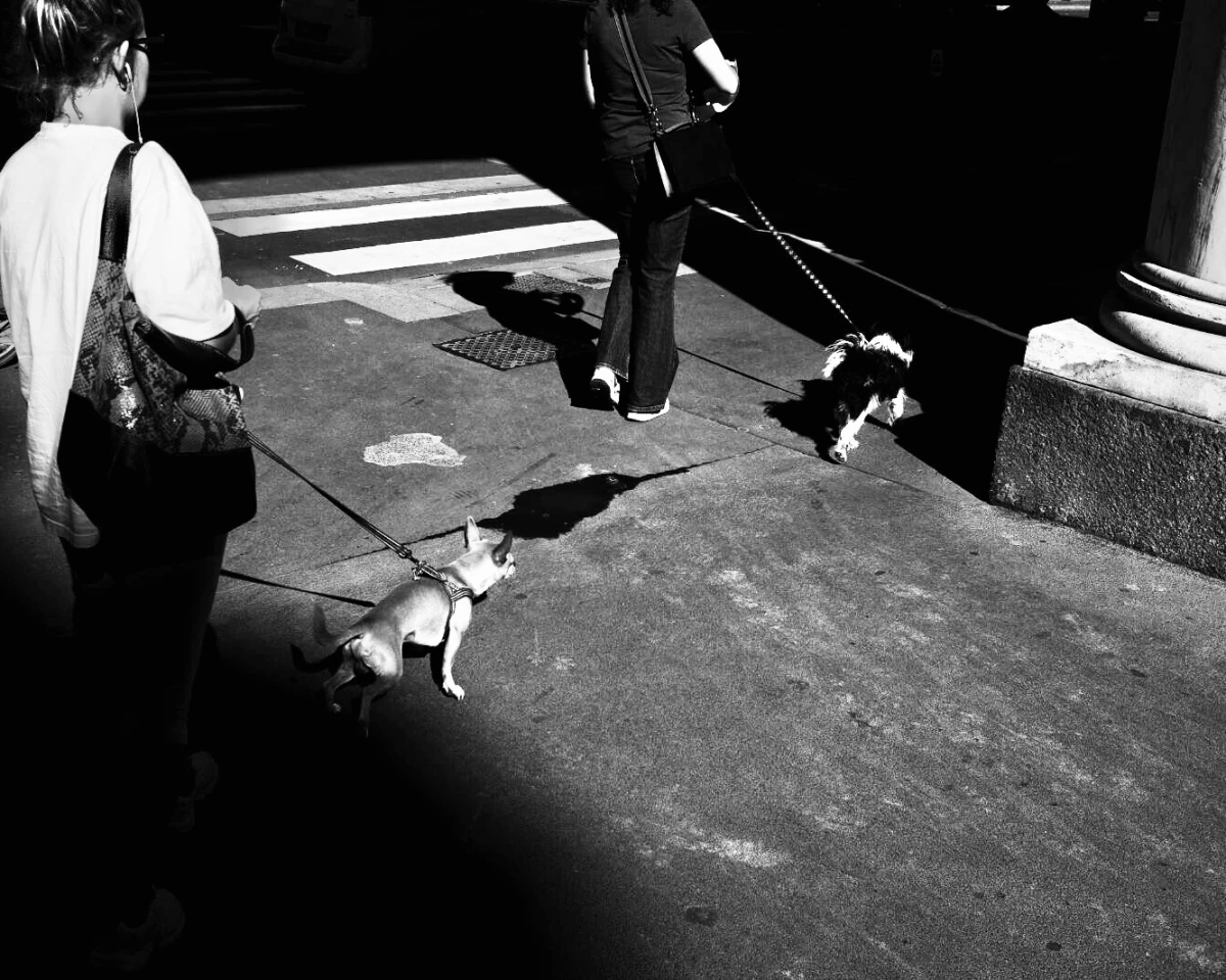 Stefano Lorefice | The Independent Photographer