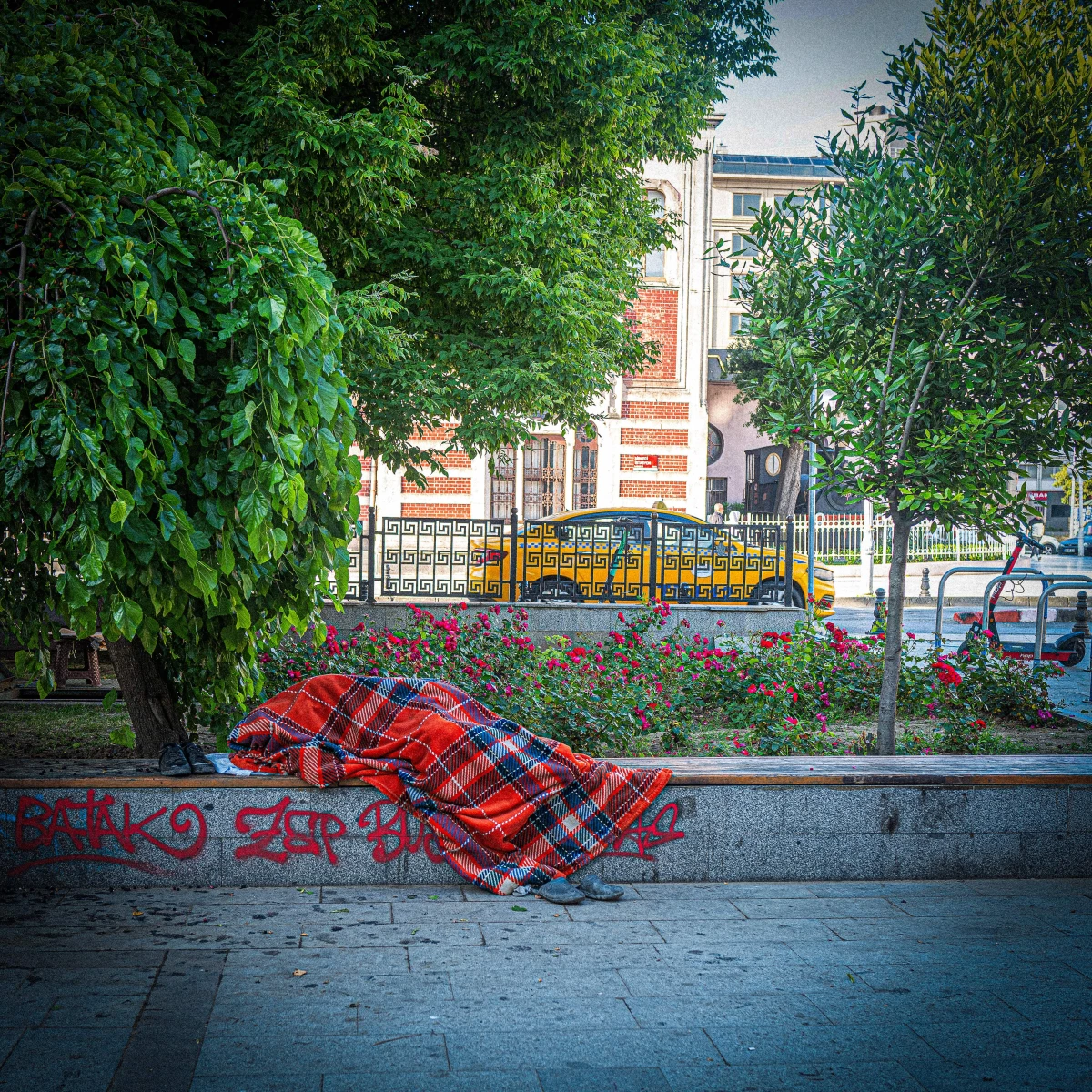 Phoebe Chen | The Independent Photographer