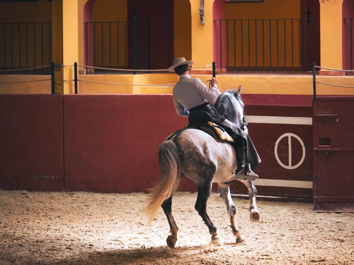 Mario Walker | The Independent Photographer