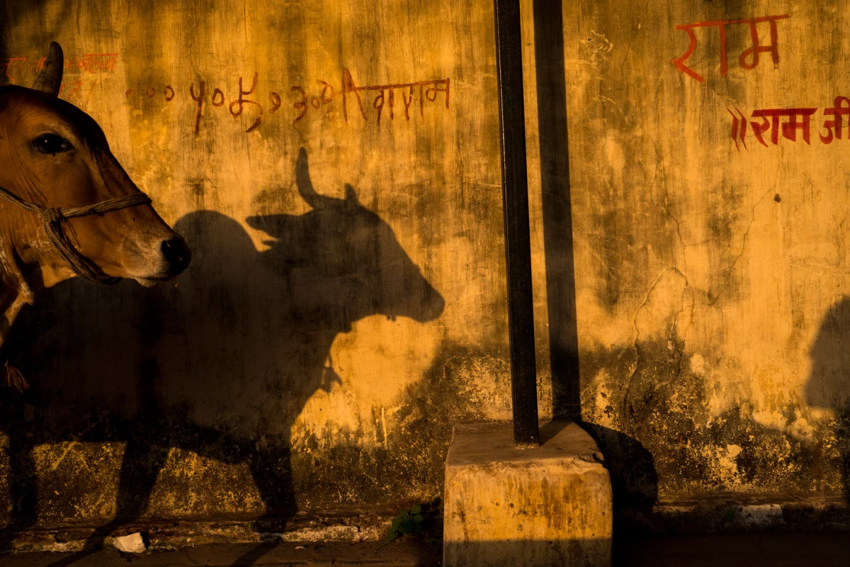 Massimo Russo | The Independent Photographer