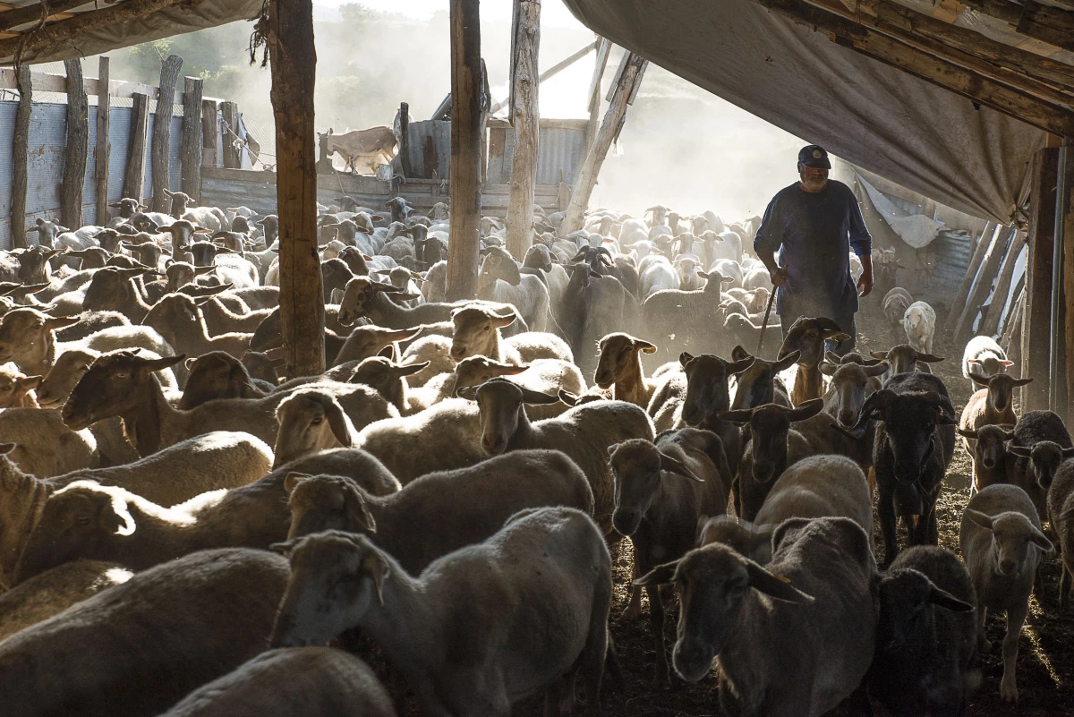 Alessandro Martinelli | The Independent Photographer
