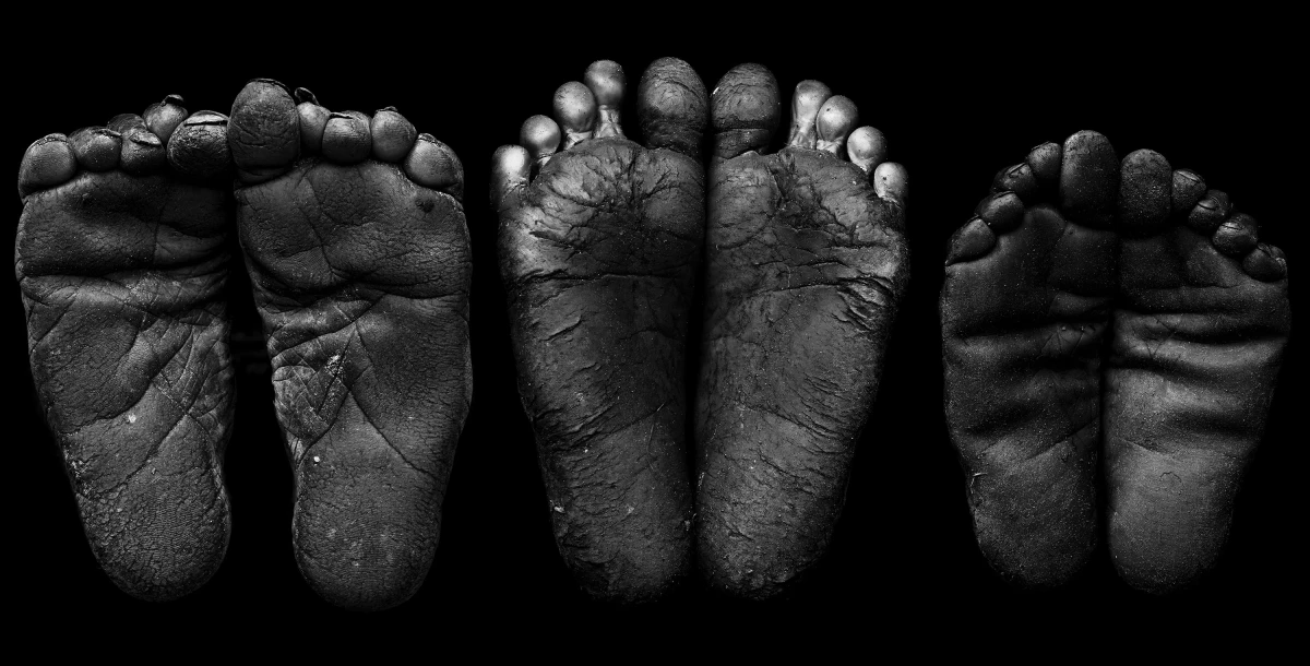 Alexander Palacios | The Independent Photographer