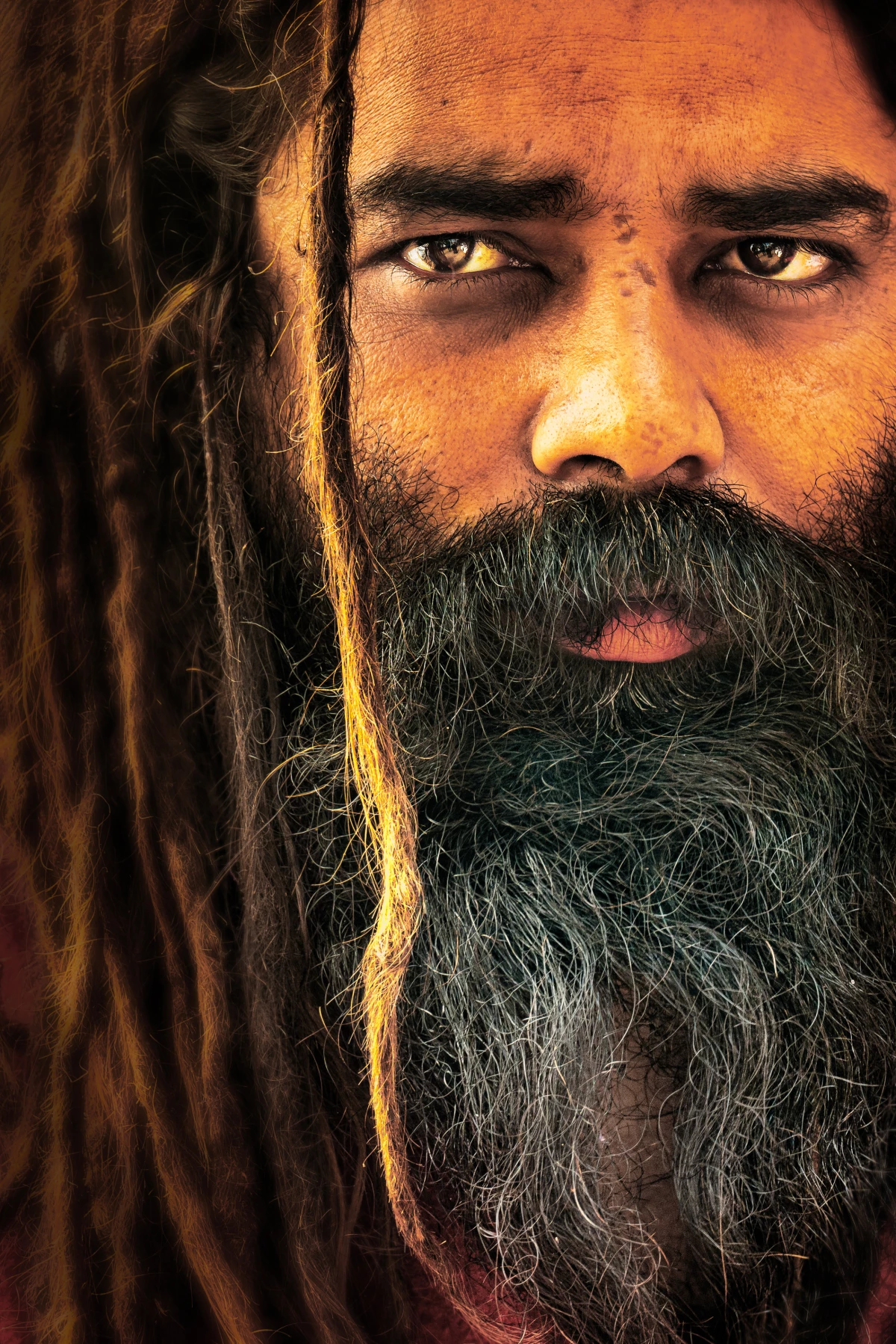 Steve Baker | The Independent Photographer