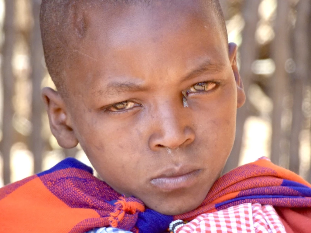 Pamela Harris | The Independent Photographer