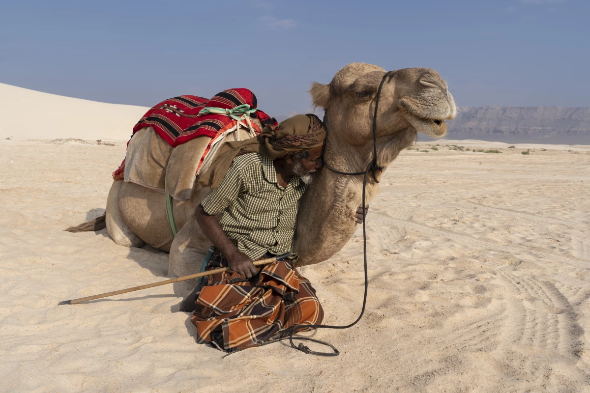 Joseph Dalton | The Independent Photographer