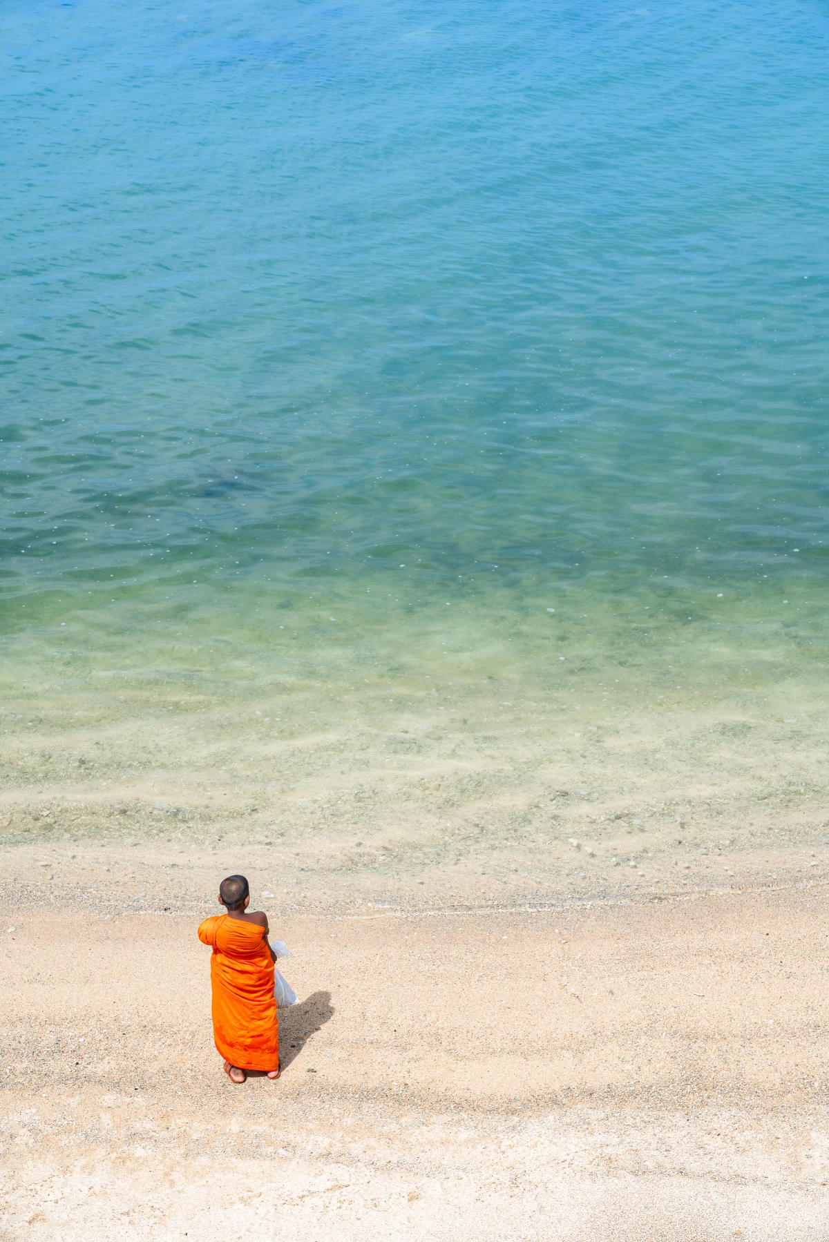 Trish Evans | The Independent Photographer