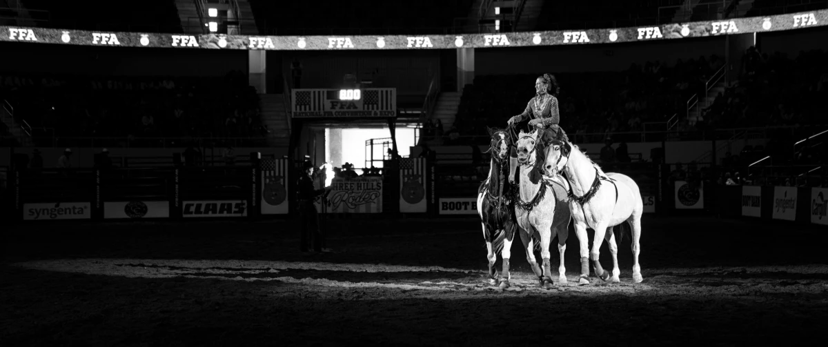 Steve Webler | The Independent Photographer