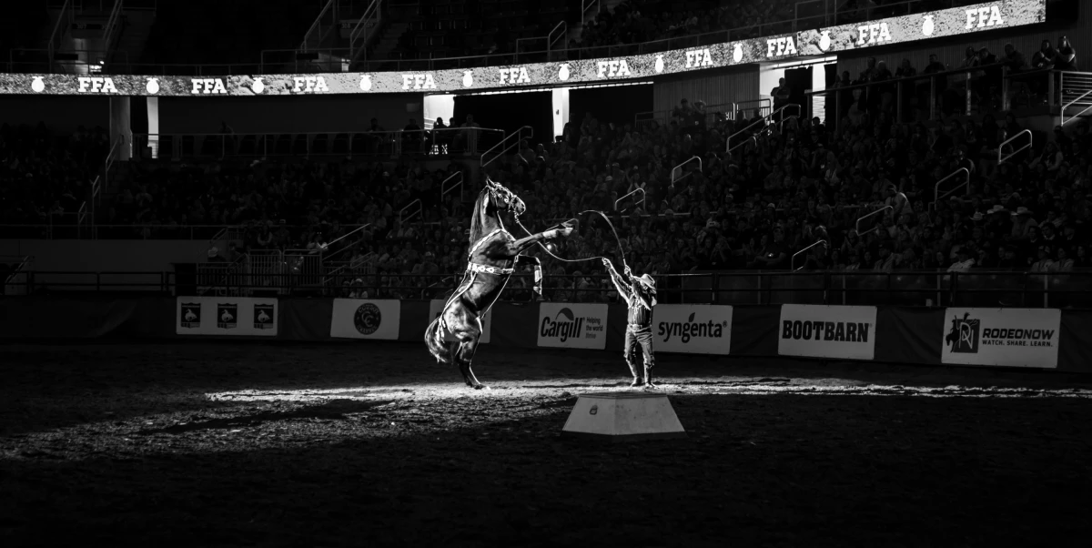 Steve Webler | The Independent Photographer