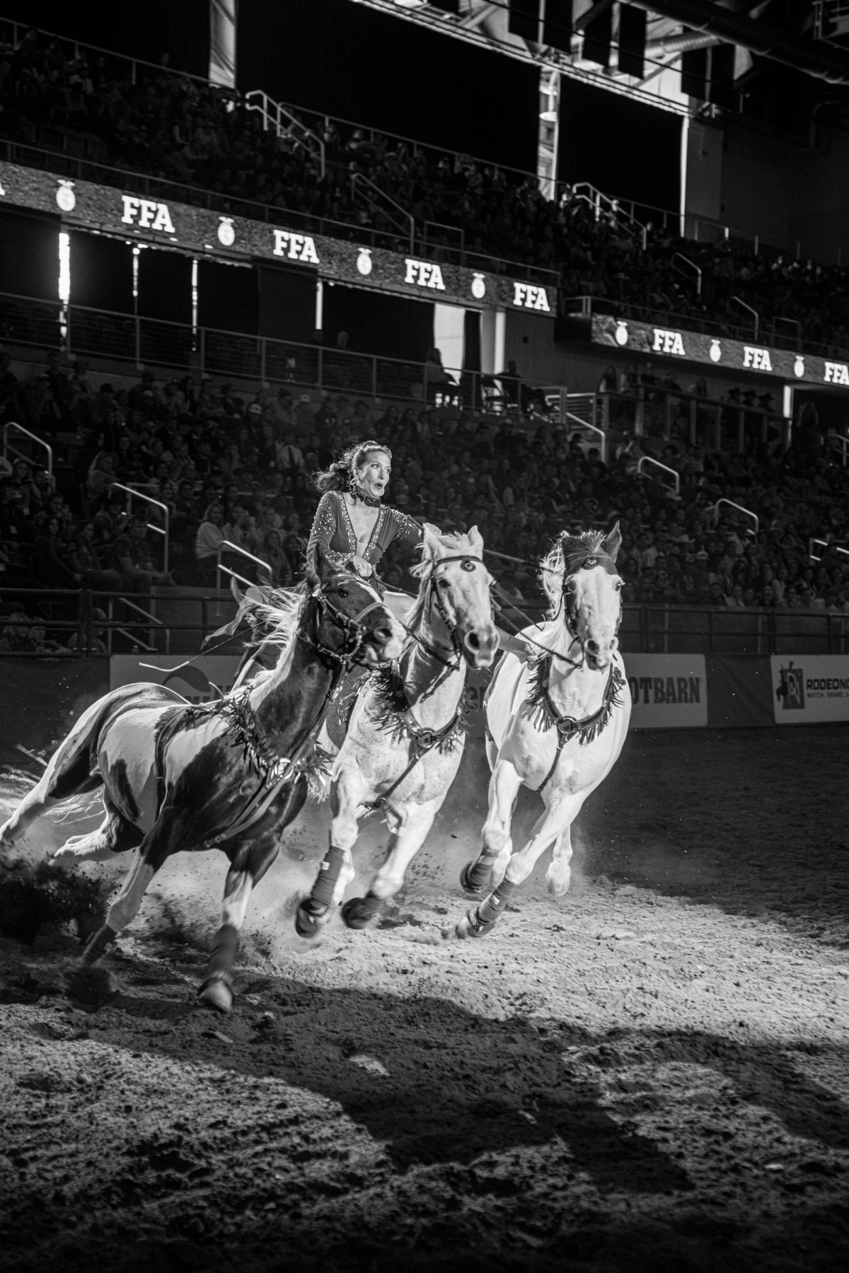 Steve Webler | The Independent Photographer