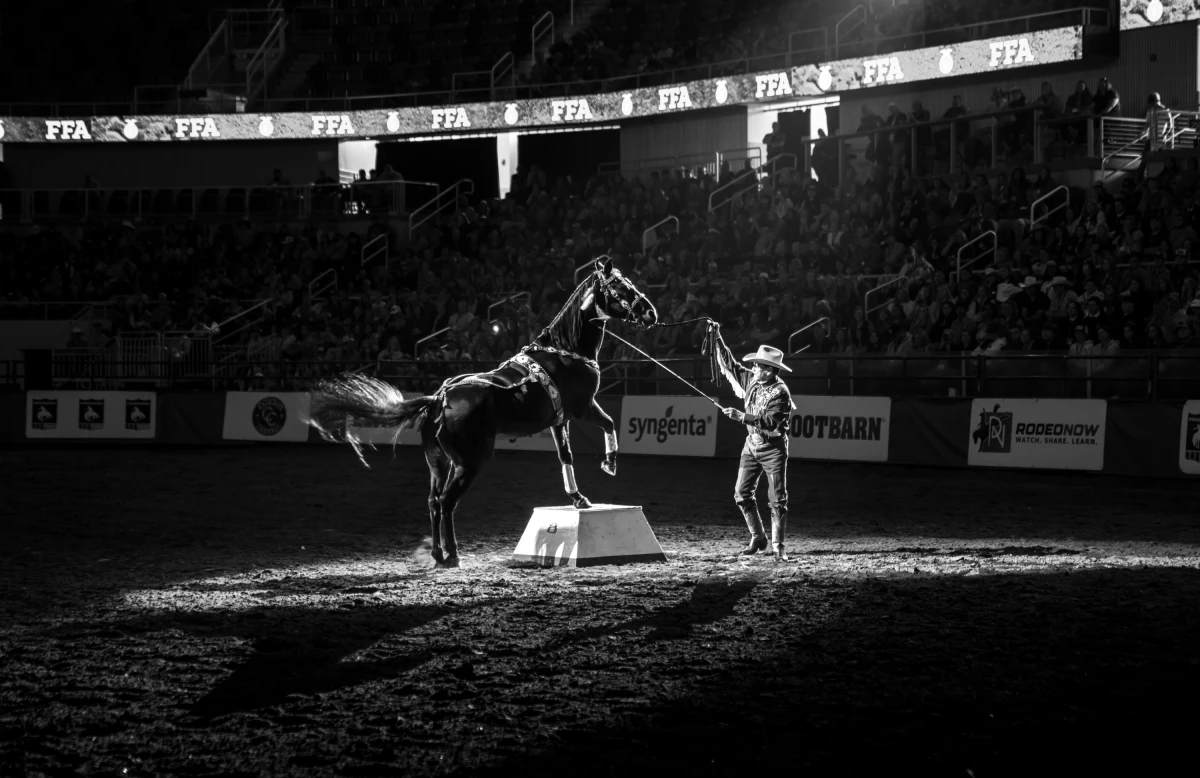 Steve Webler | The Independent Photographer