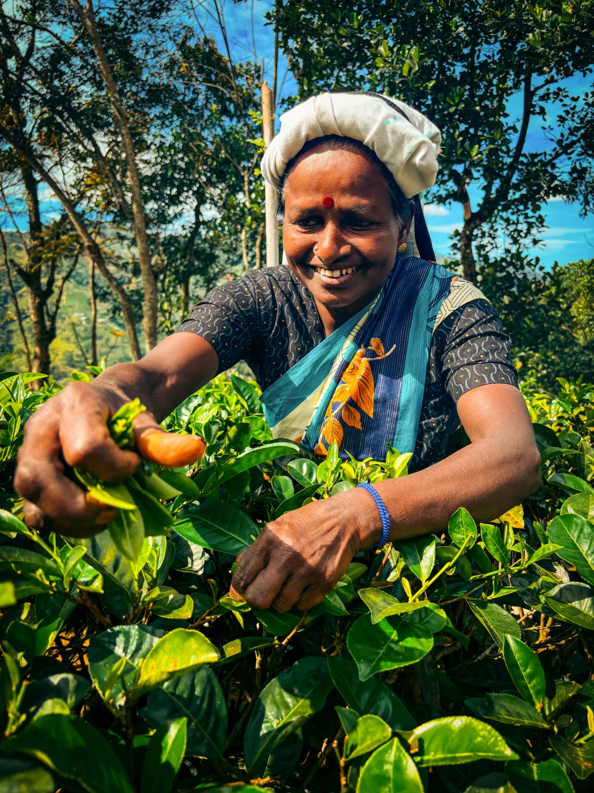 Sarah Rowles | The Independent Photographer