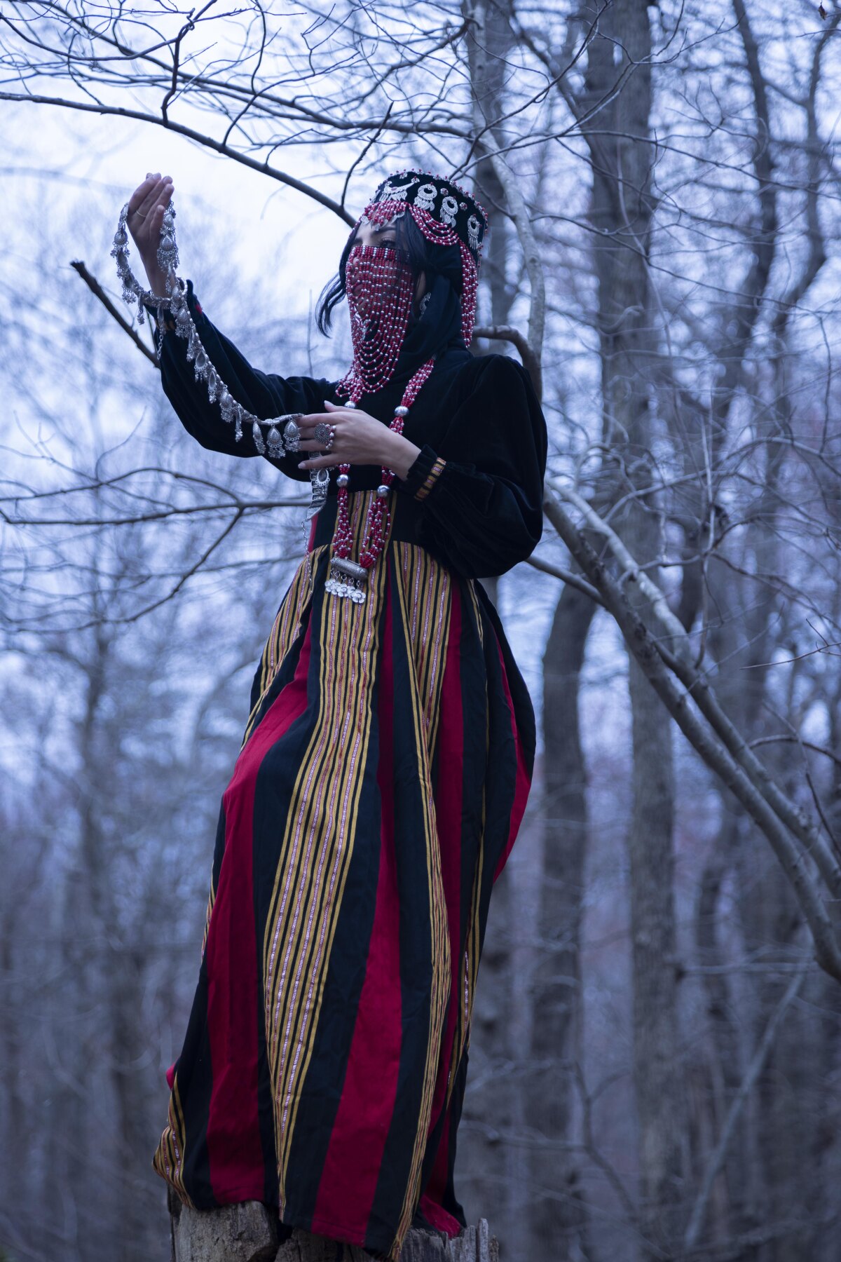 Alaa Zabara | The Independent Photographer