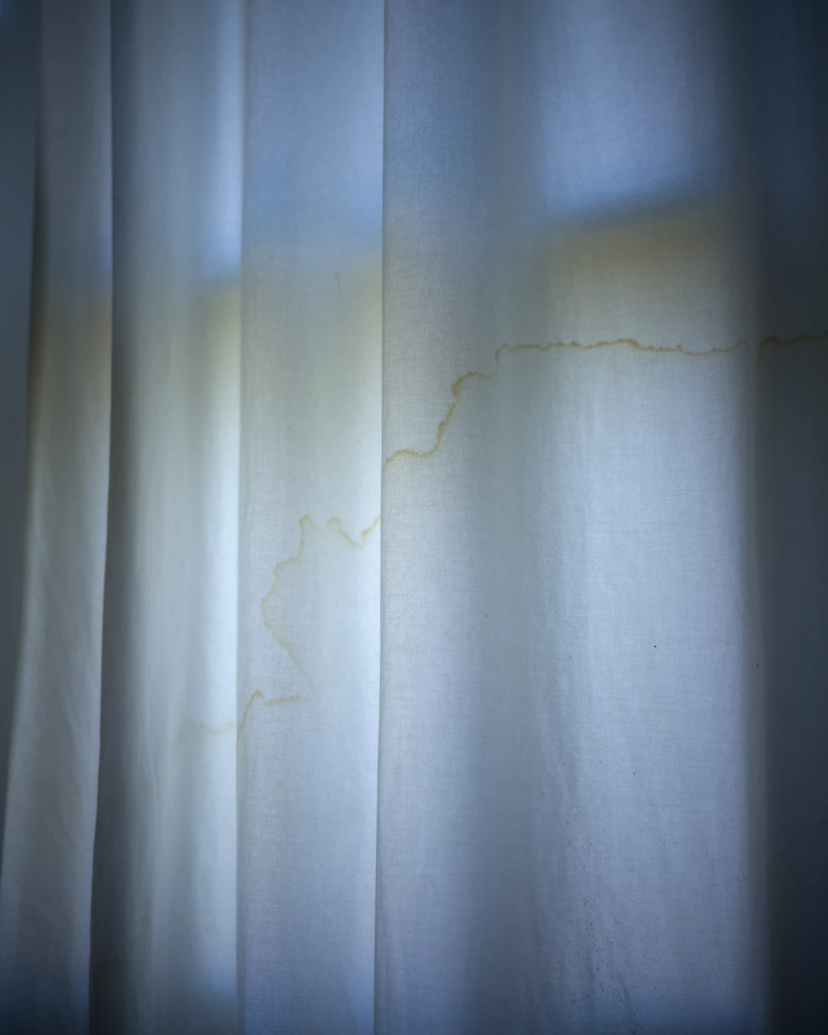 Victoria Manzoli | The Independent Photographer